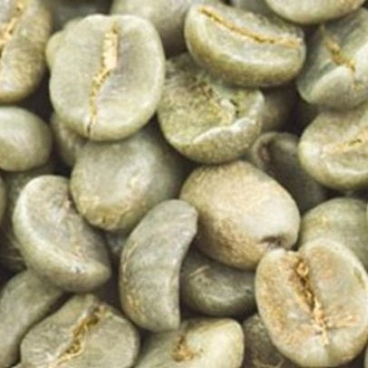 Rudr Krupa International – REVERE